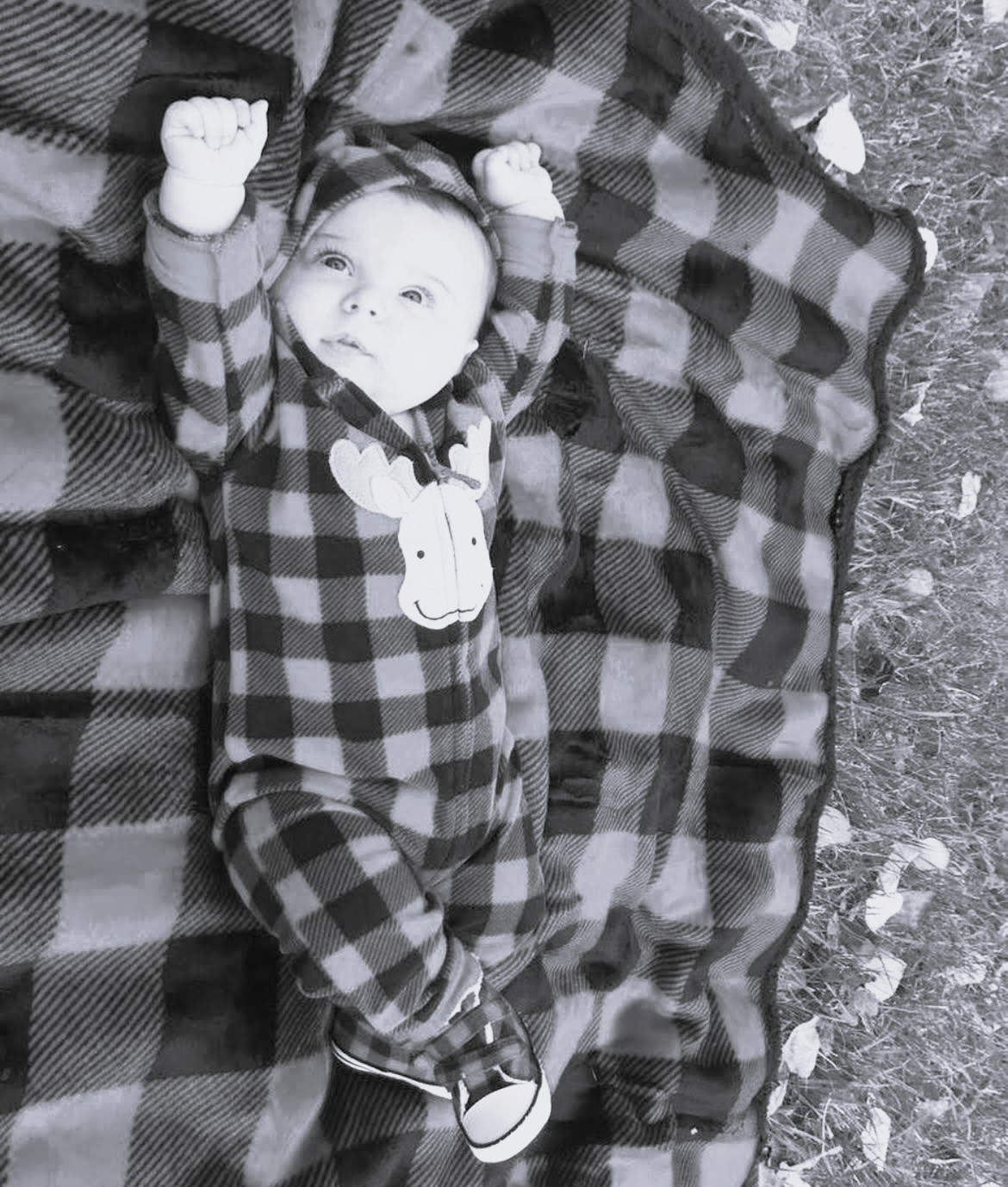 Infants & Toddlers – Little Flamingos Early Learning Centre